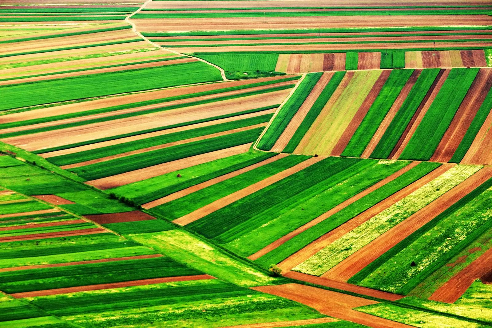 Agricultura de Precisão: as cinco tecnologias mais usadas | Agrotec.pt Agricultura de Precisão: as cinco tecnologias mais usadas | Agrotec.pt