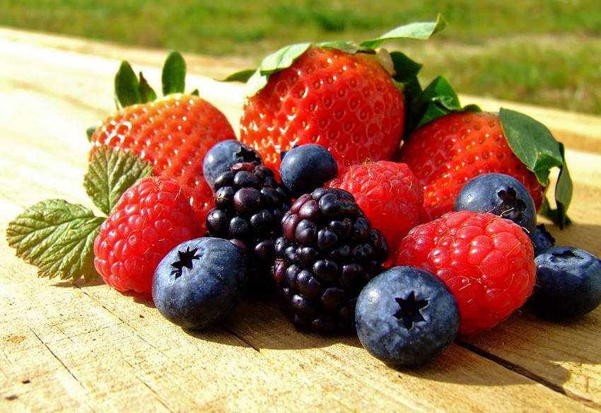 Juntar Pequenos Frutos para conseguir Grandes Vendas | Agrotec.pt